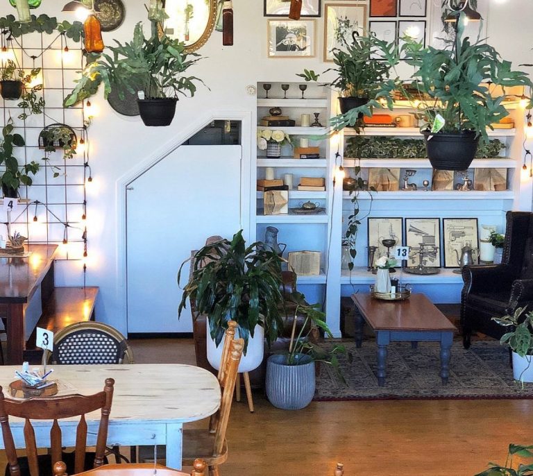 Vend Cafe - Brisbane Northside Cafe Dining & Function Space